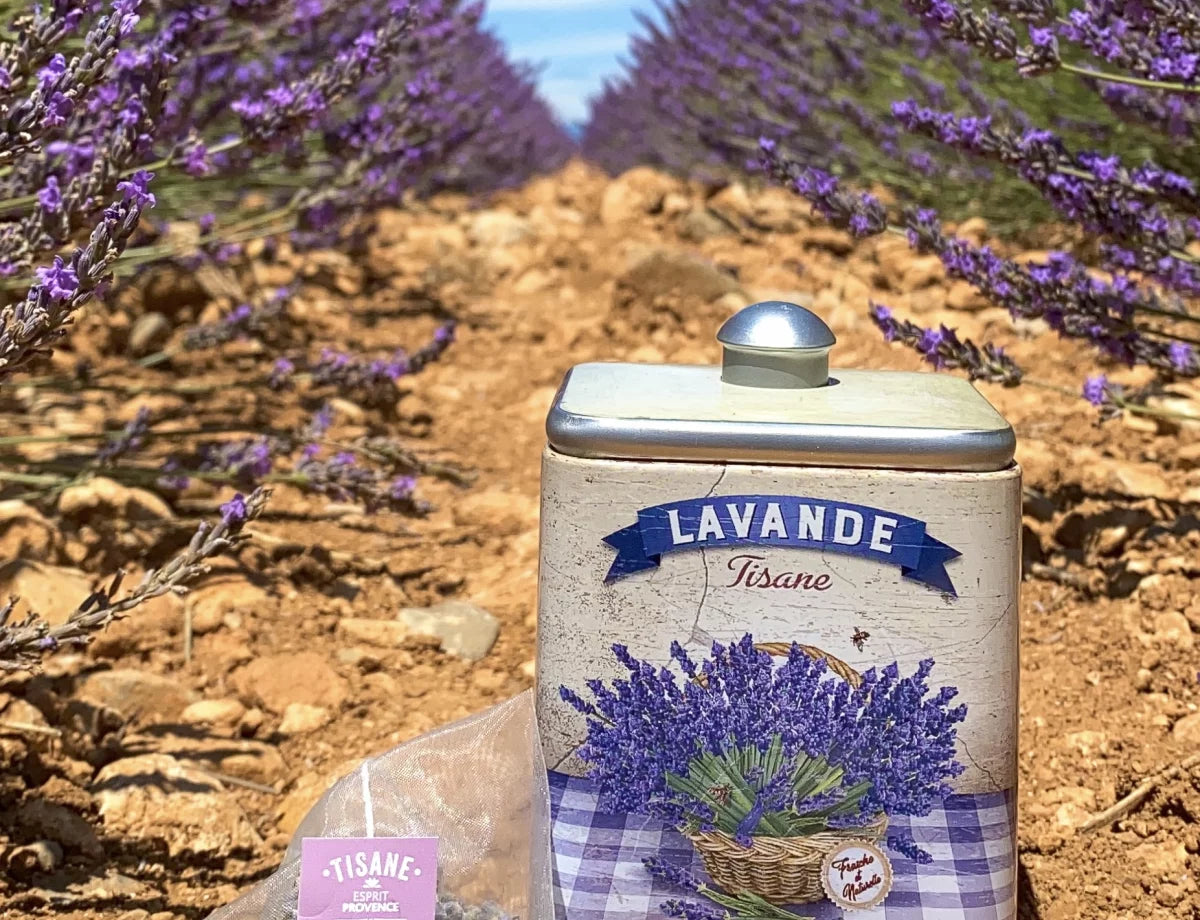 ŽOLELIŲ ARBATOS IŠ PROVANSO – LAVANDE PROVENCE